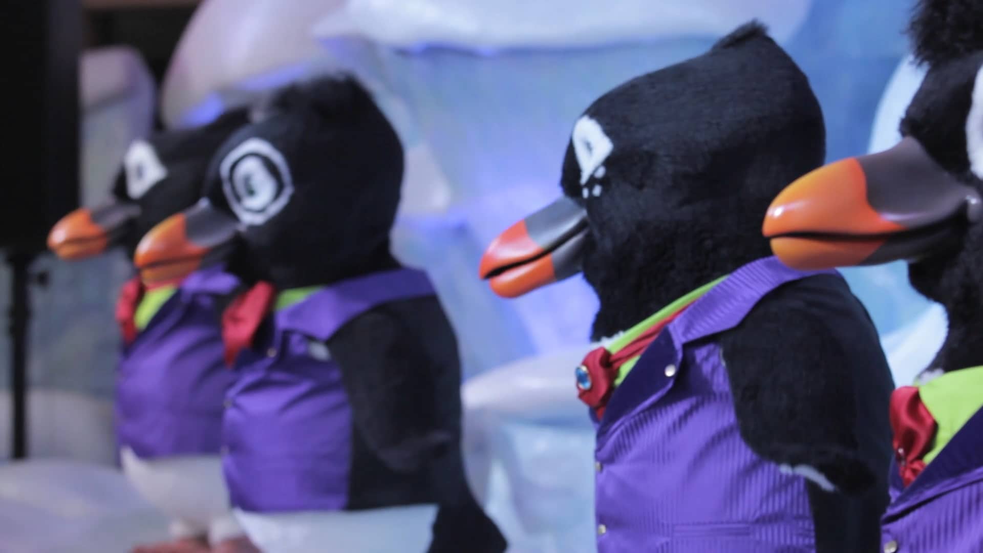 Penguins on Parade | Animated Show on Vimeo