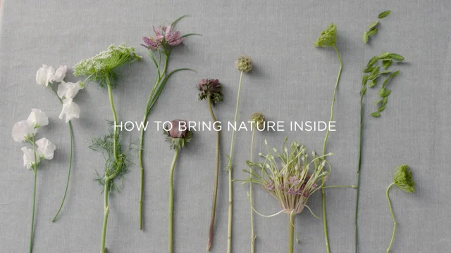 Photos Inside Of Stem Flowers