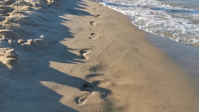 Walk, Beach, Footsteps. Free Stock Video - Pixabay