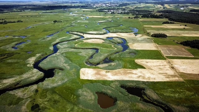 Fleuve Nature - Free video on Pixabay - Pixabay