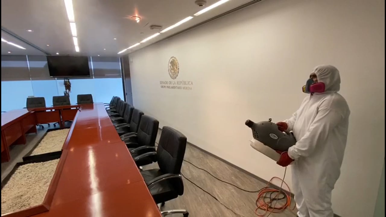 Galería de Servicios « Eco-control de plagas