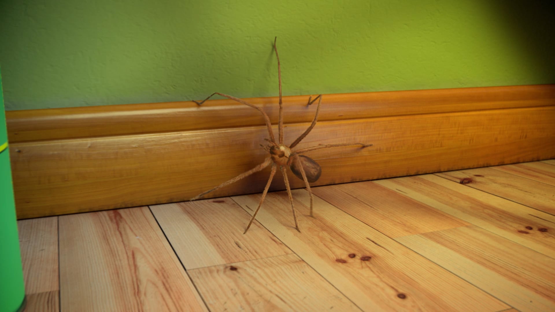 BAYGON SPIDER on Vimeo