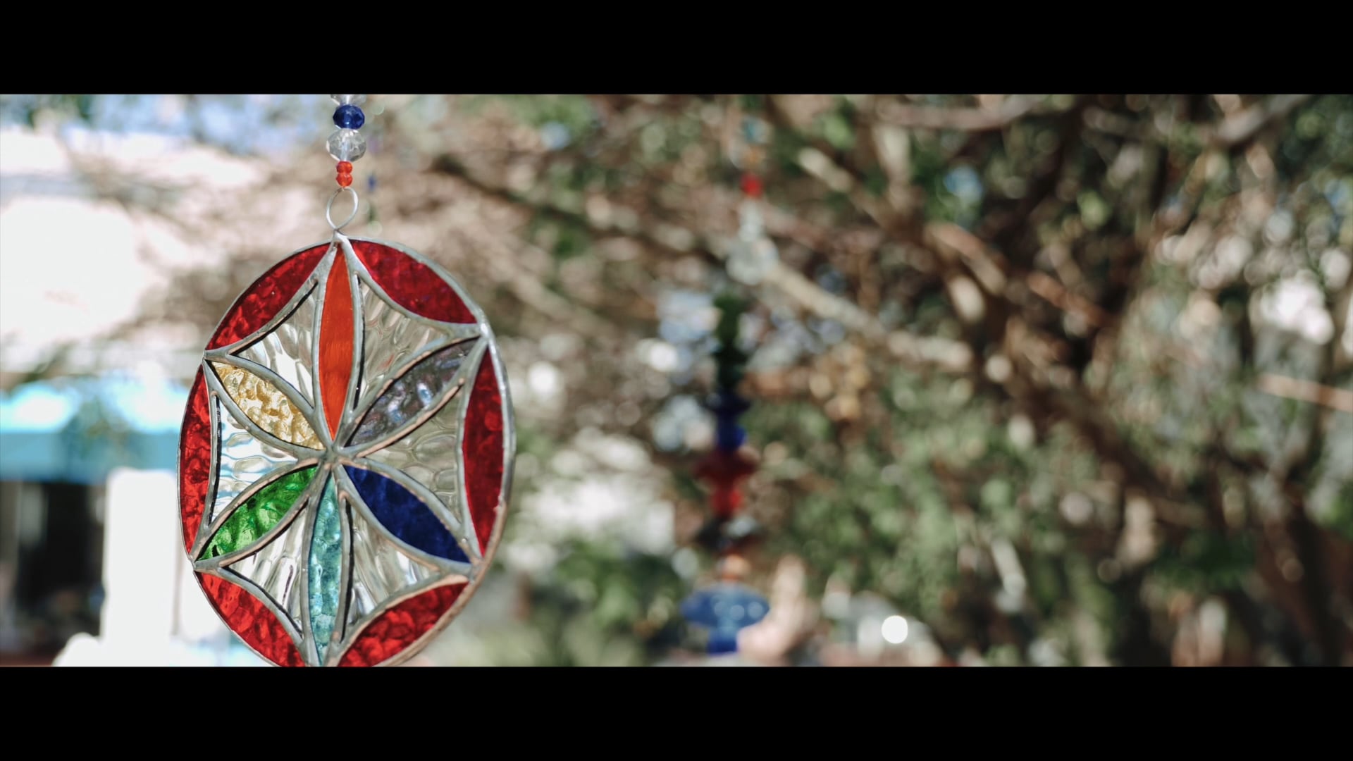 Passion Story | Susan Shivers on Vimeo