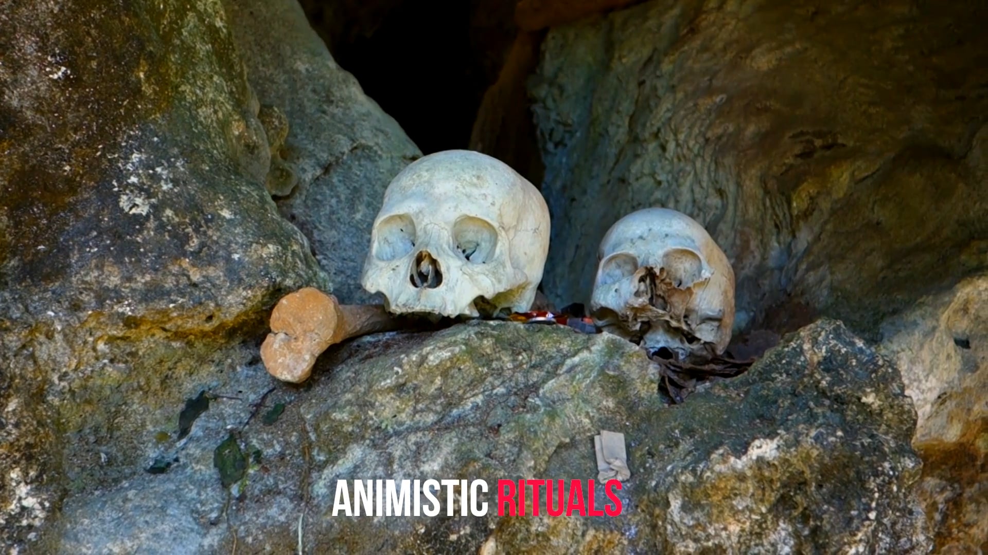 Watch ANIMISTIC RITUALS_Trailer Online | Vimeo On Demand on Vimeo