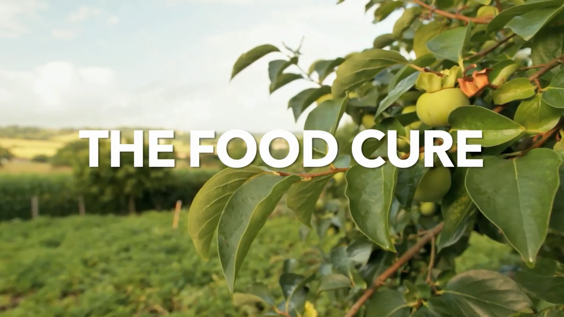 Watch The Food Cure - Hope or Hype? Online | Vimeo On Demand on Vimeo