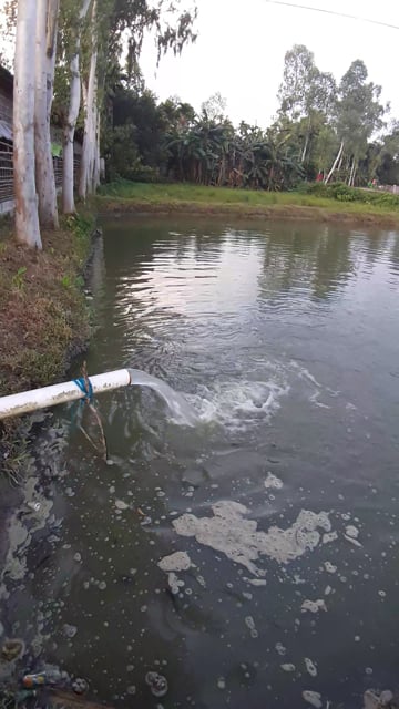 Water Falling In Pond, Pump Water, Pollute Water. Free Stock Video ...