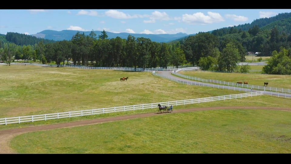 Arcuri Stables Promotional Video on Vimeo