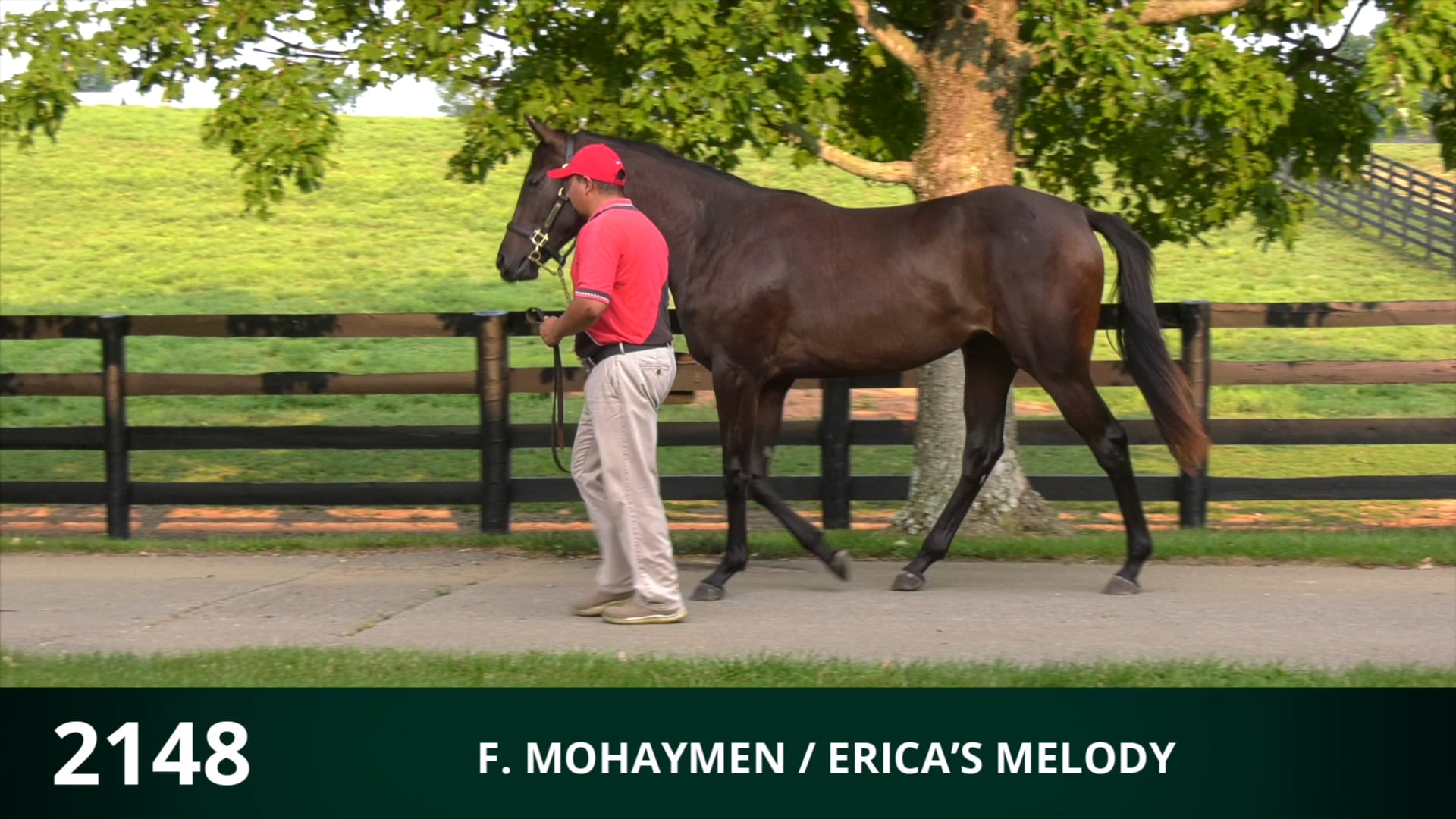 KEE2148_Erica_s Melody on Vimeo