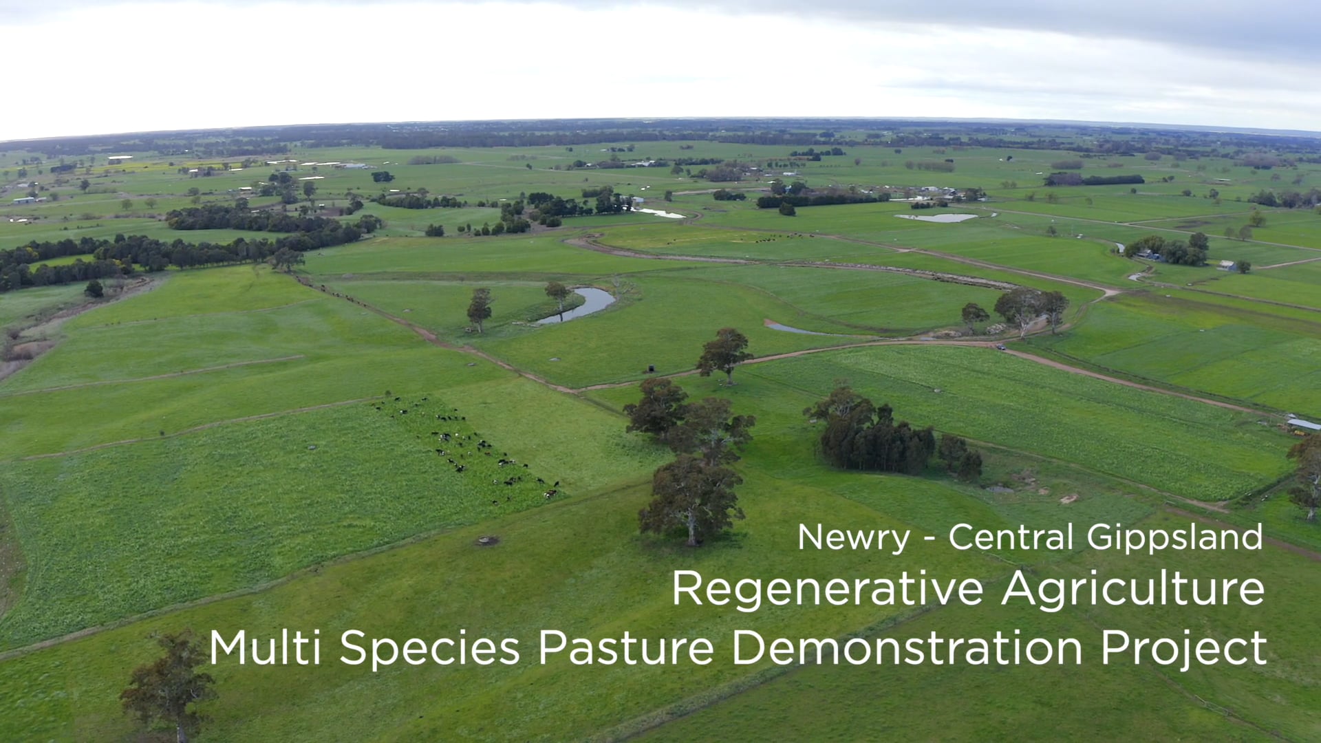 Multi Species Pasture Demonstration Project on Vimeo