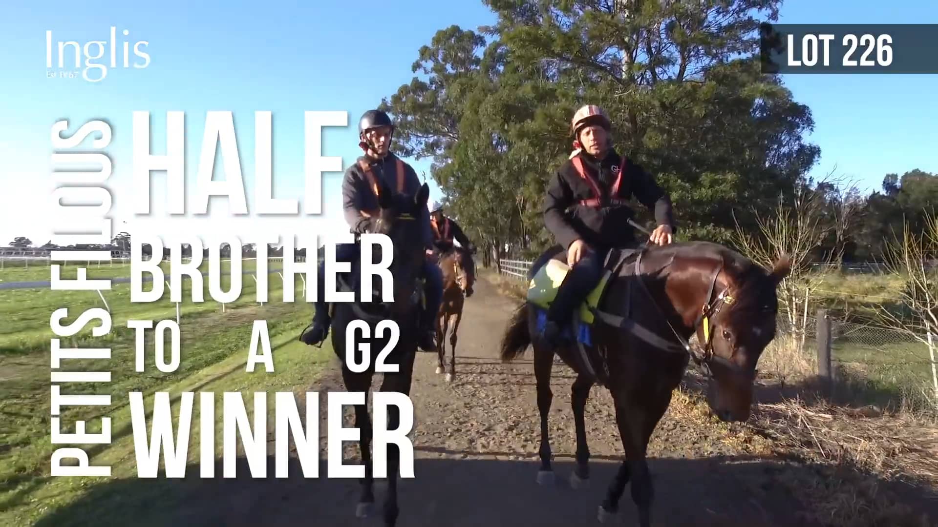 Matt Vella - 2020 Inglis Ready2Race Preview on Vimeo