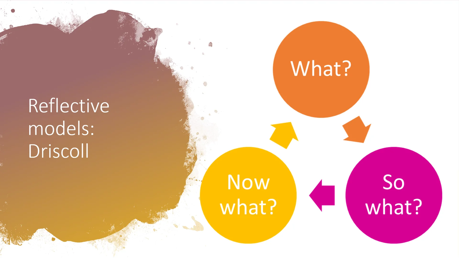 Driscoll Reflective Model