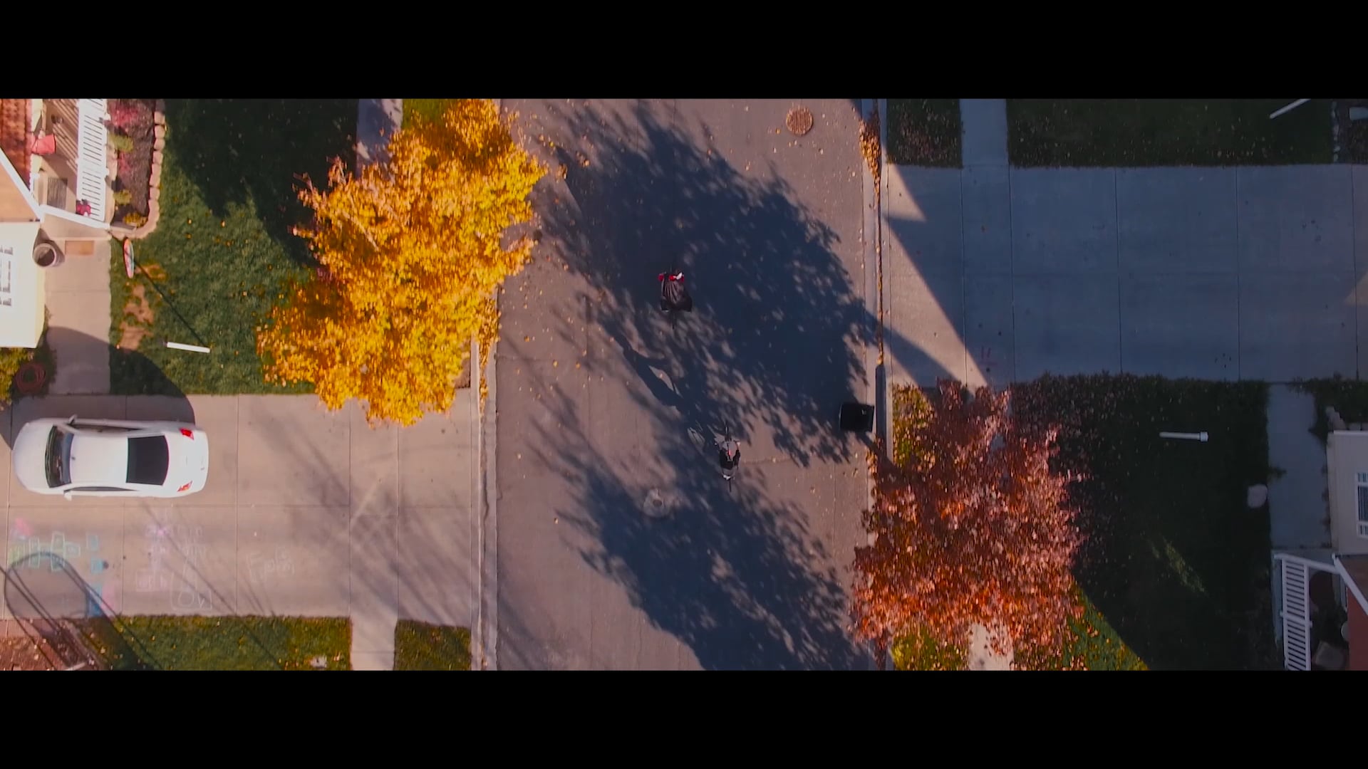Watch They Live Inside Us Online | Vimeo On Demand on Vimeo