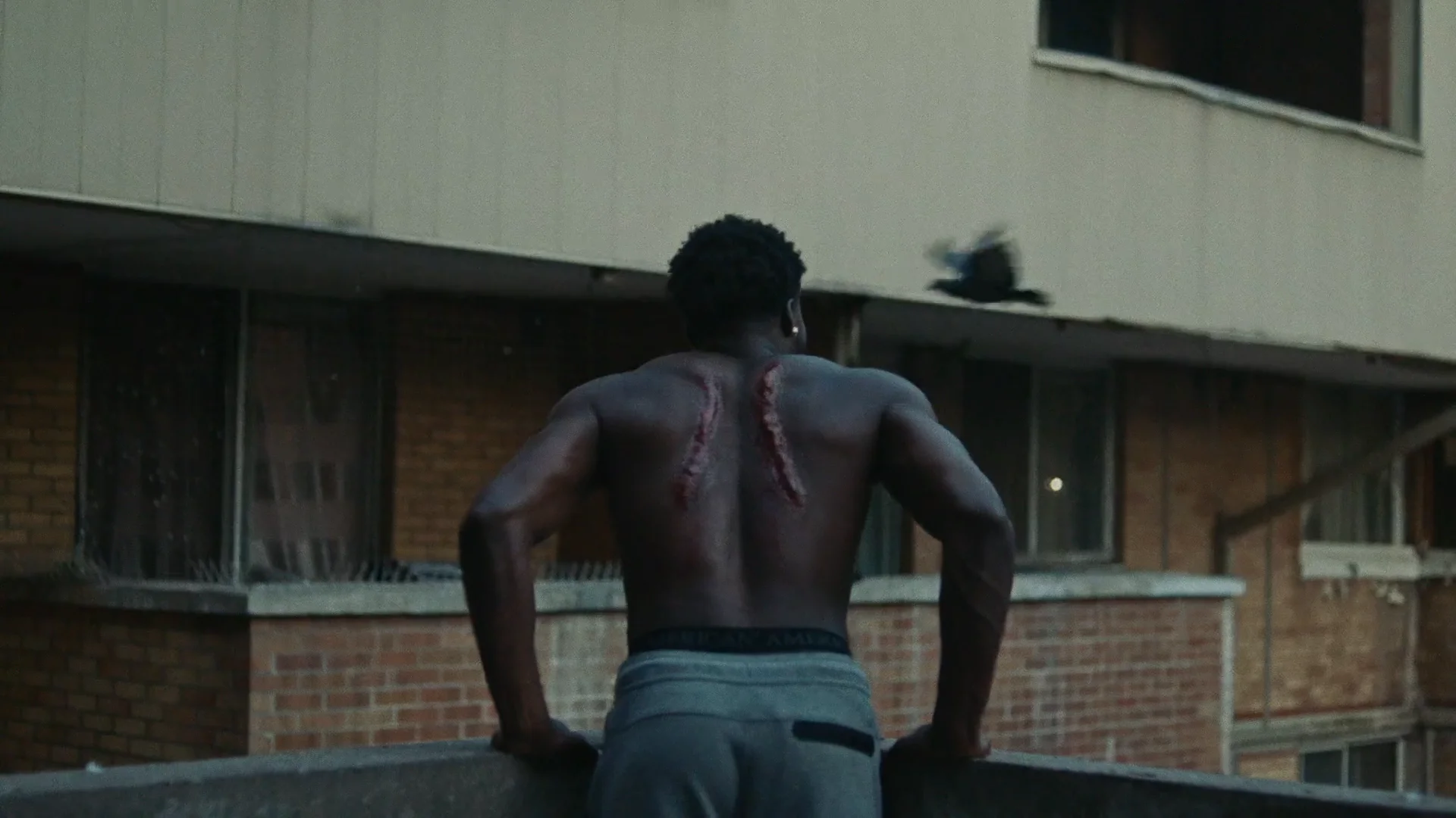 Mustafa - Air Forces