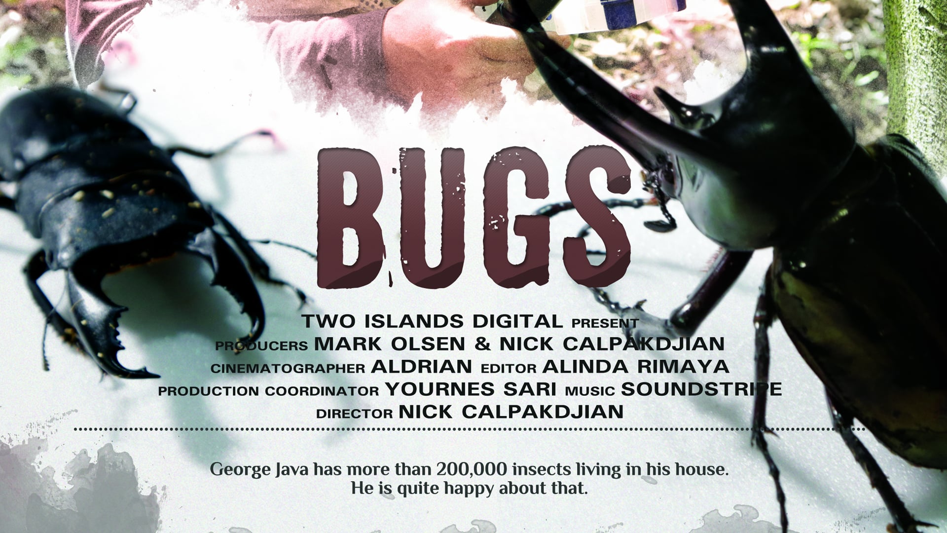 Watch Bugs Online | Vimeo On Demand on Vimeo
