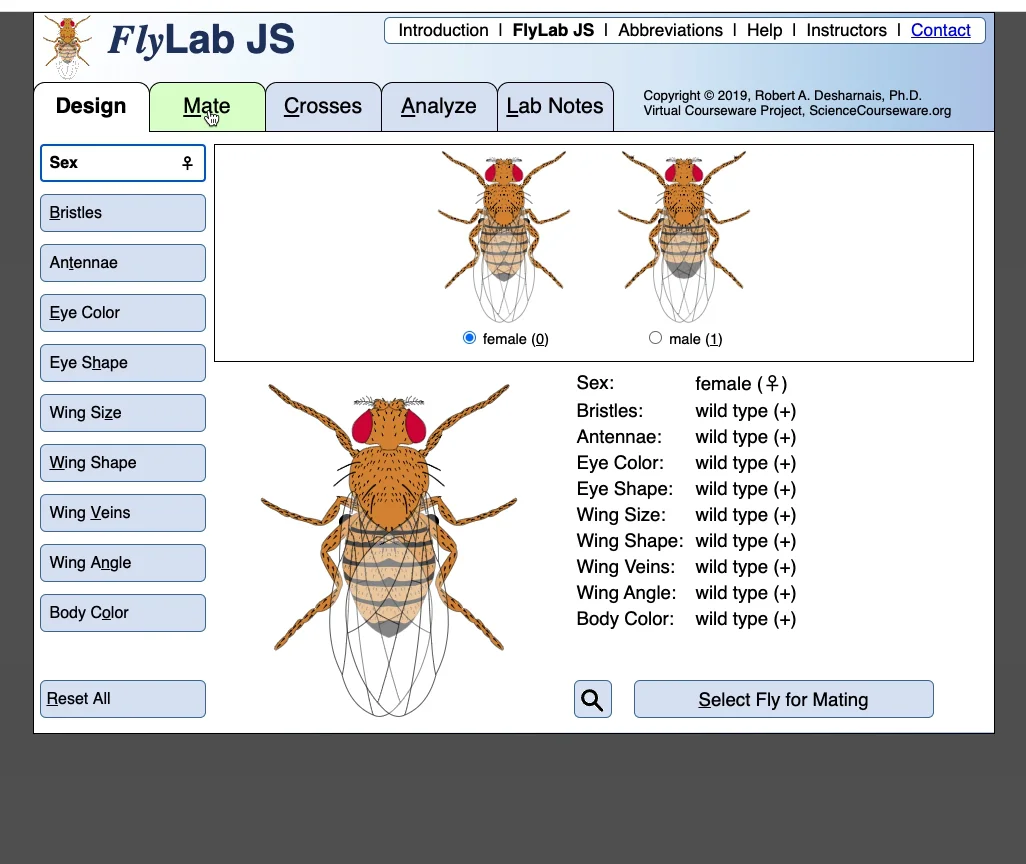 How to use Fly Lab JS