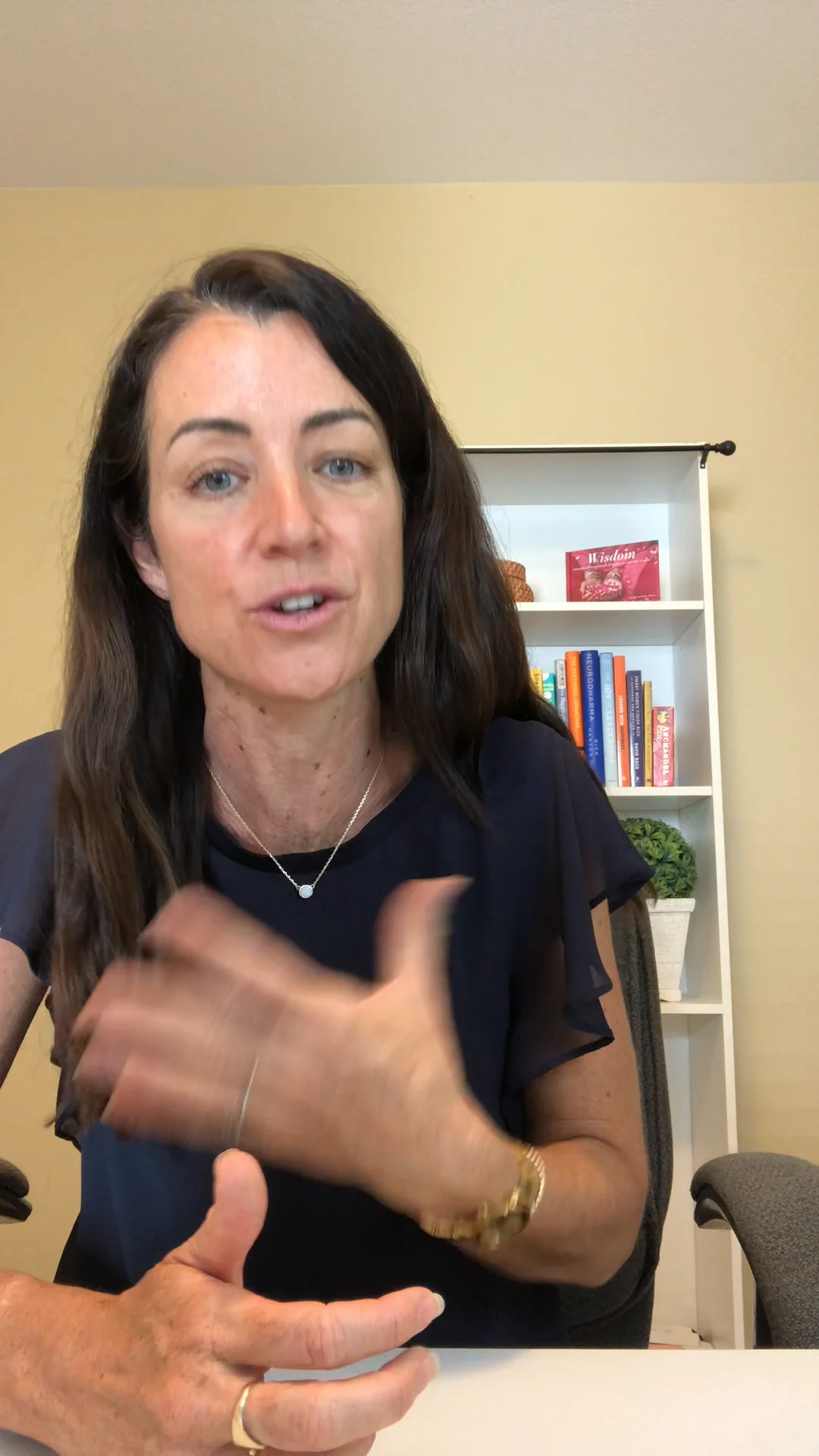 SPIRE Model of Well-Being for Leaders on Vimeo