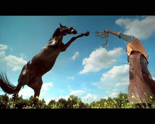 Animal Planet Horse Ident on Vimeo