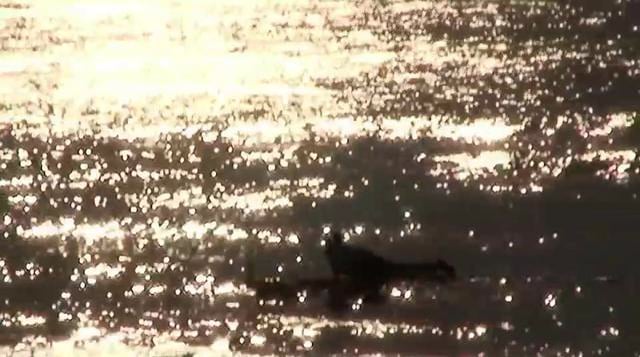 Dave Baker audition for Pfizer as Lipitor Spokesman on Vimeo