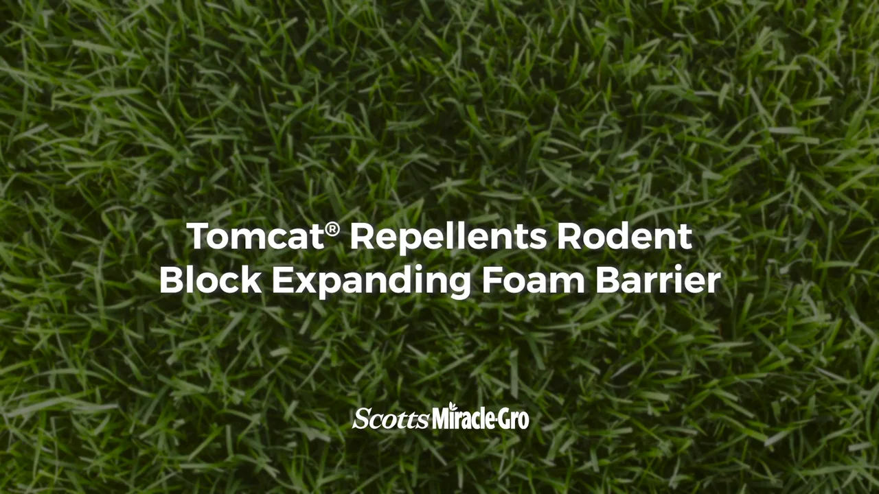 Tomcat® Repellents Rodent Block Expanding Foam Barrier - Scotts S09 on ...