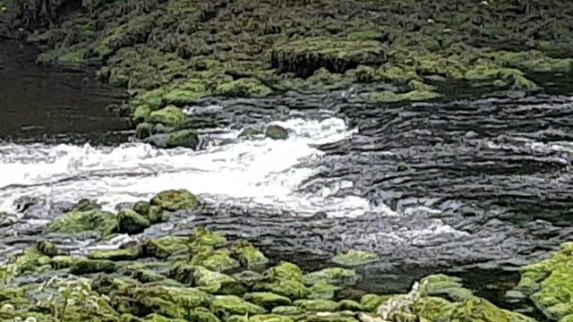 River, Lee, In. Free Stock Video - Pixabay