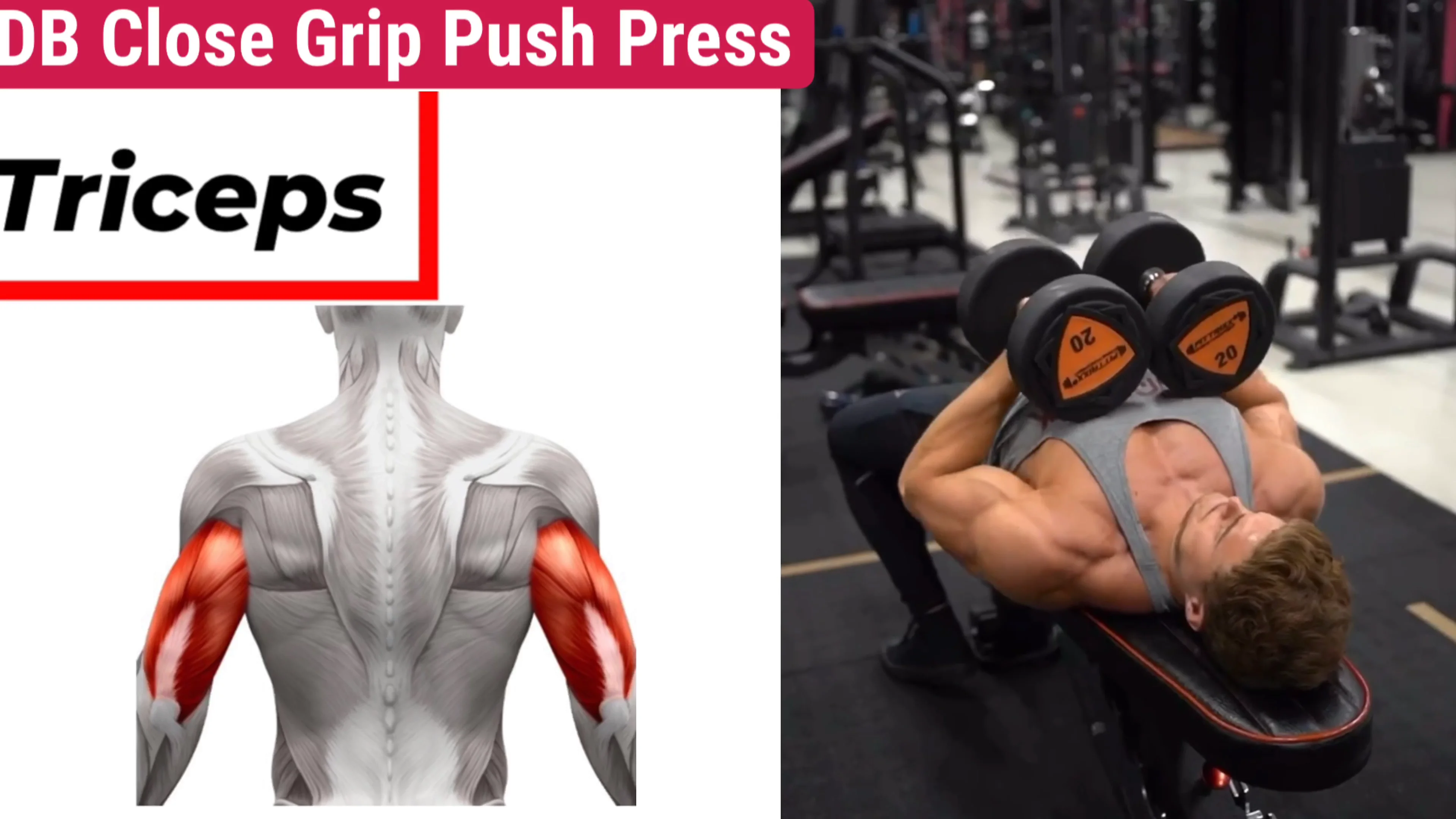 DB Close Grip Push Press on Vimeo