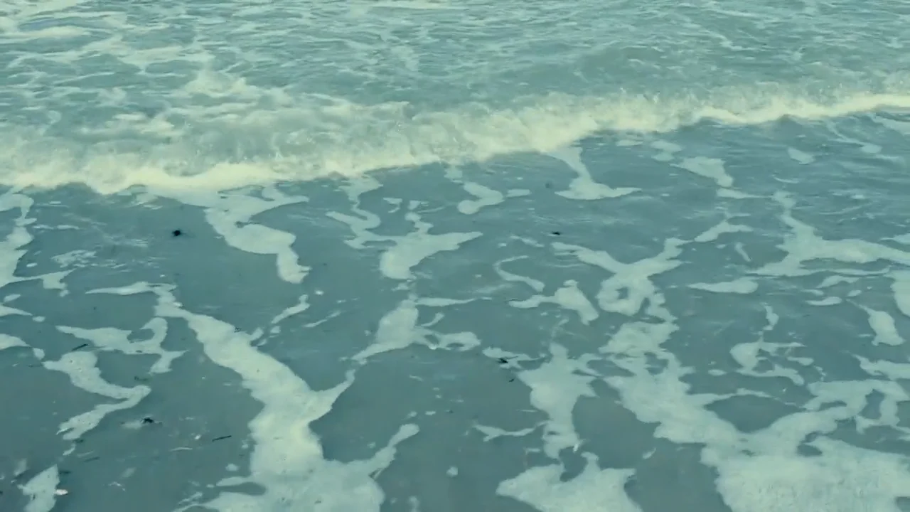 ÉLOGE DE LA PURETÉ | Brigitte Brami on Vimeo