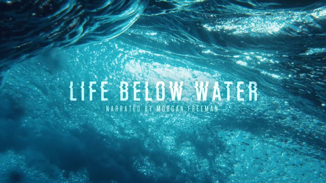 Life Below Water on Vimeo