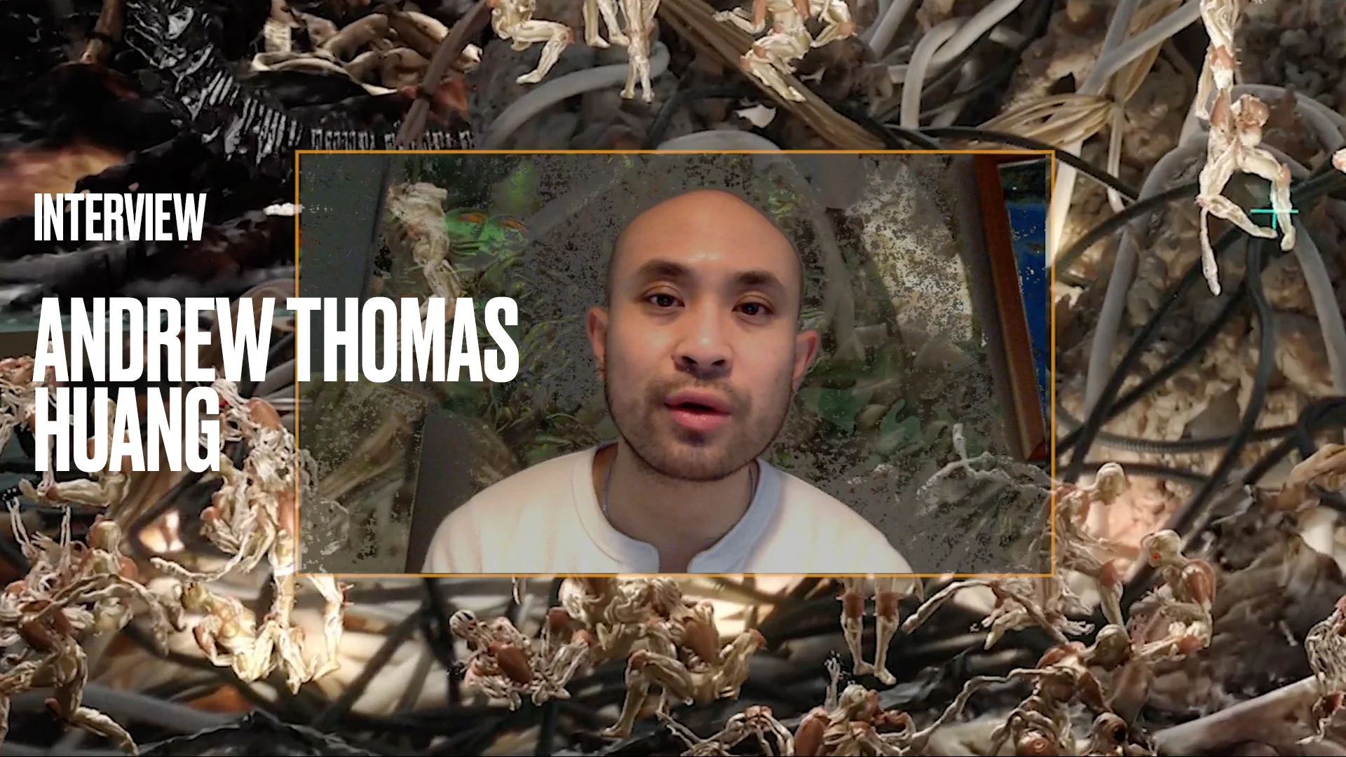 ANDREW THOMAS HUANG talks about Flesh Nest