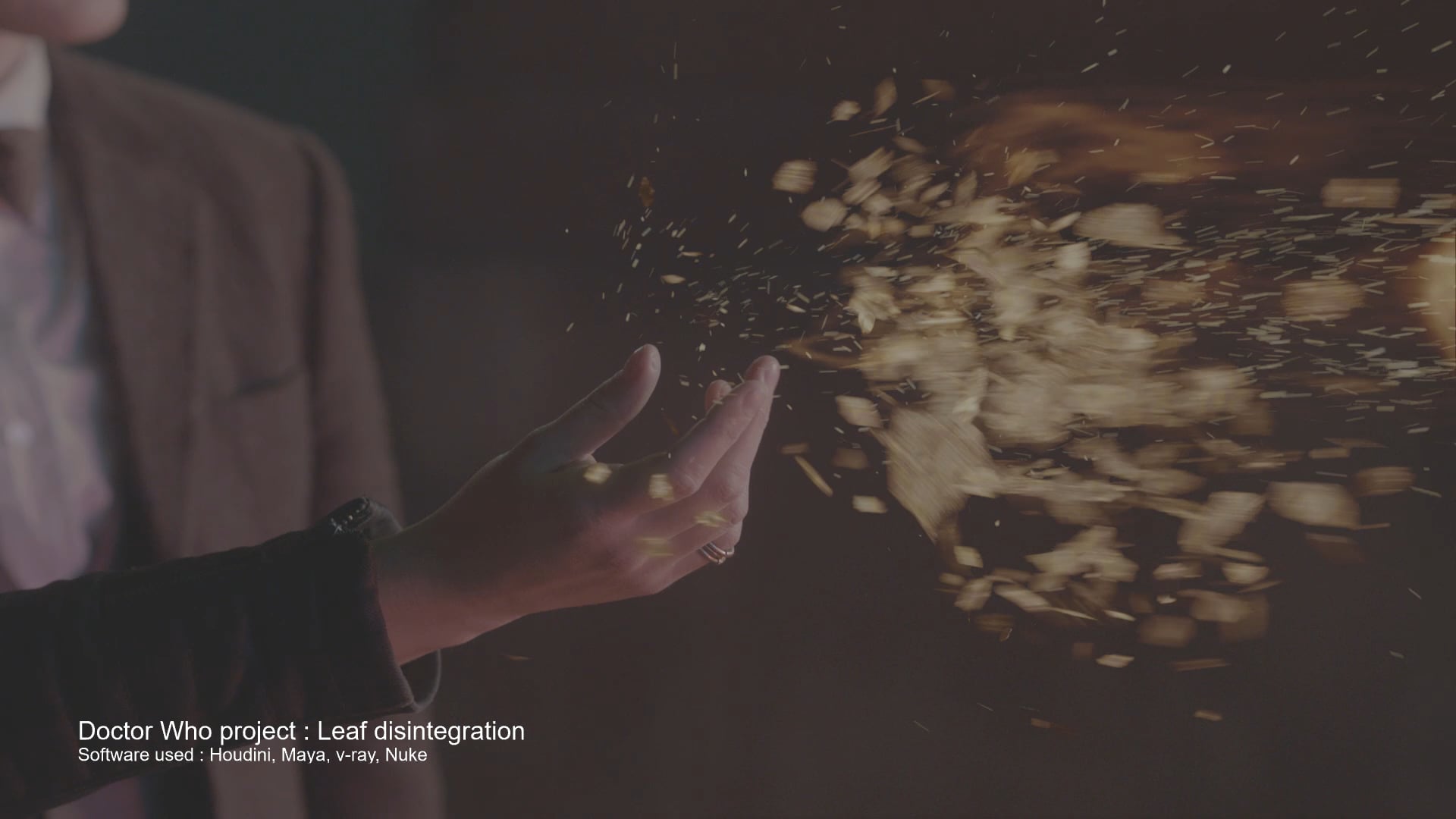 Leaf disintegration on Vimeo