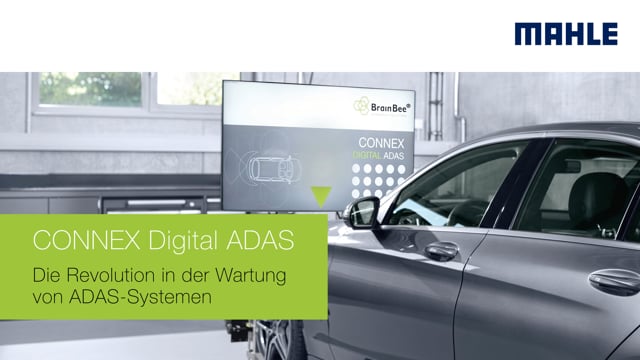 BRAIN BEE | IT SIMPLY WORKS. on Vimeo