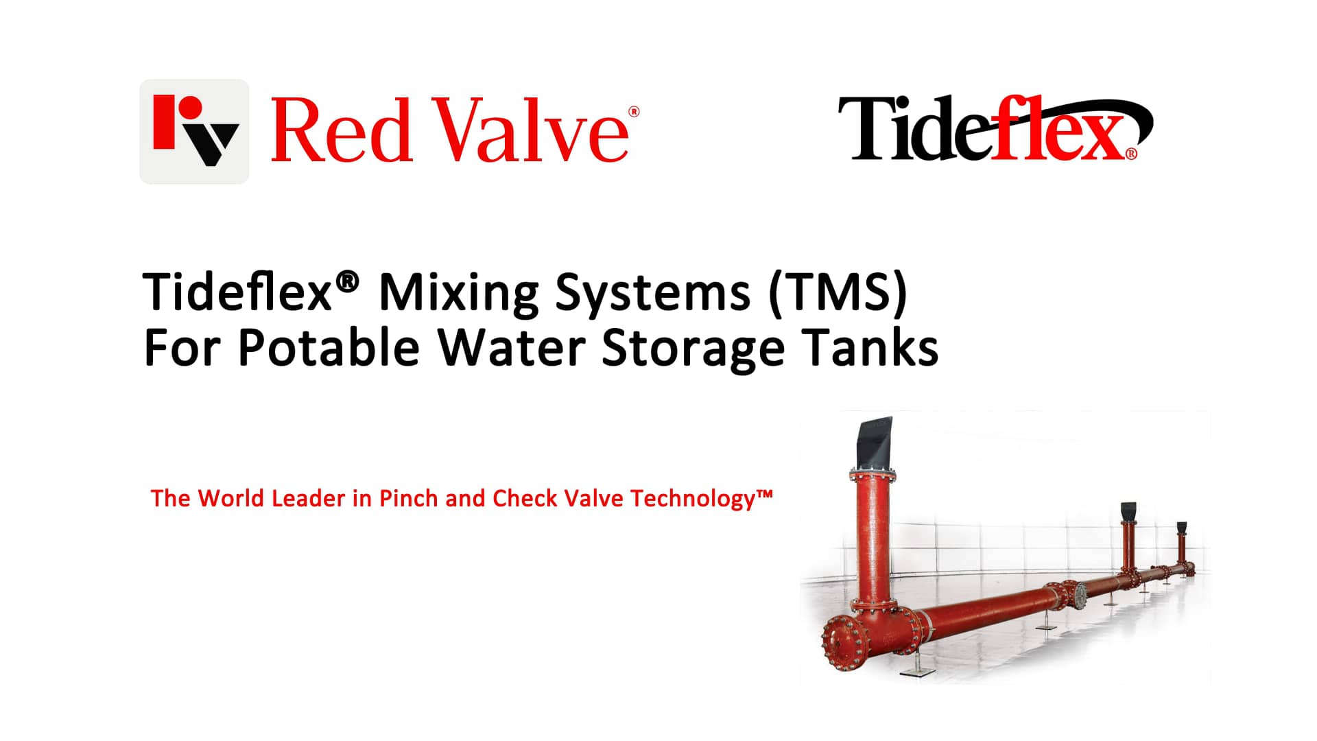 TMS Animation on Vimeo