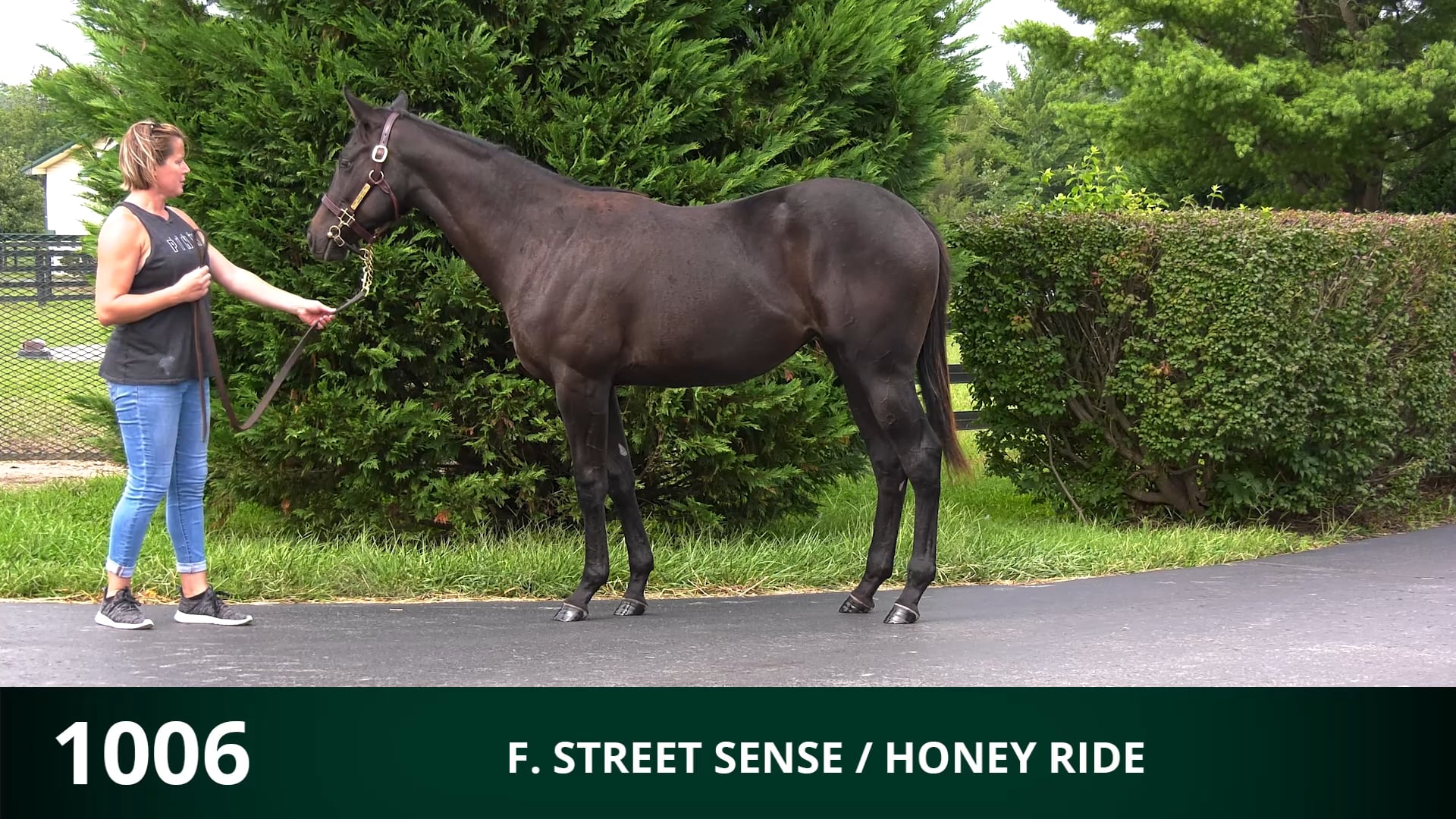 KEE1006_Honey Ride 19_Paramount.mp4 on Vimeo