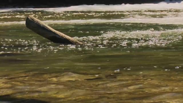 Flow, Log, Waters. Free Stock Video - Pixabay