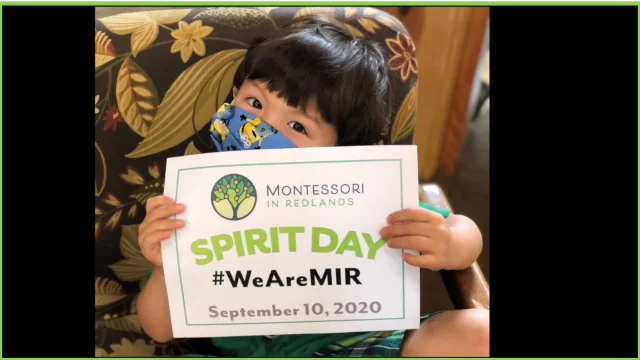MIR Community Spirit Day Celebration