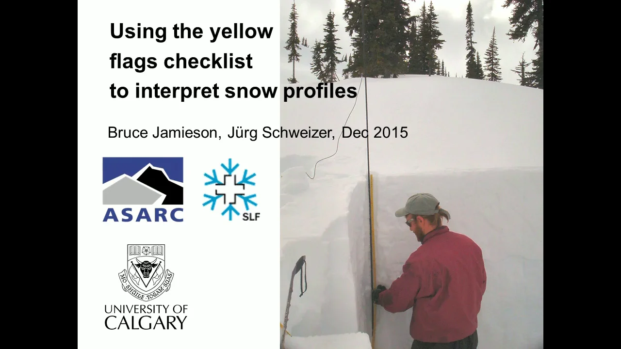 Yellow flags for snow profile interpretation