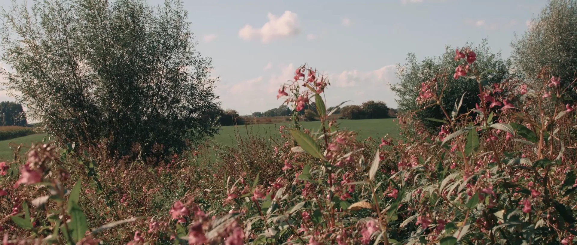 Het verhaal van George Edward Thomas