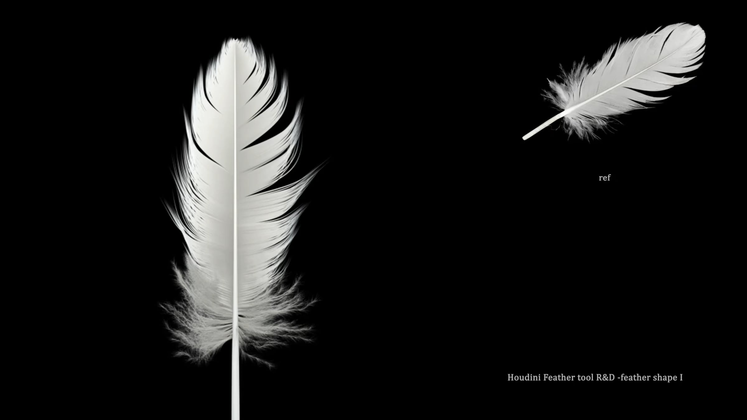Houdini Feather RND 1.5- feather shape01