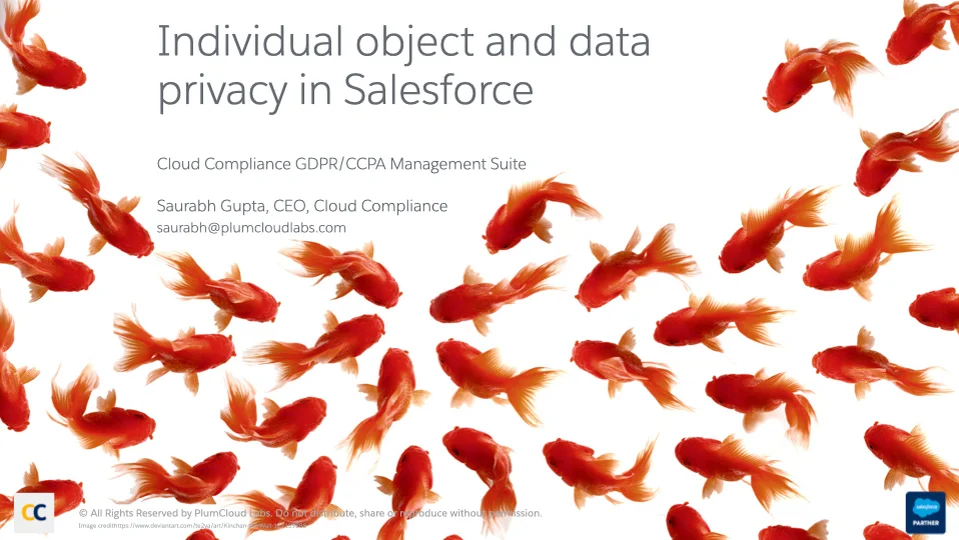 Individual object and data privacy in Salesforce on Vimeo