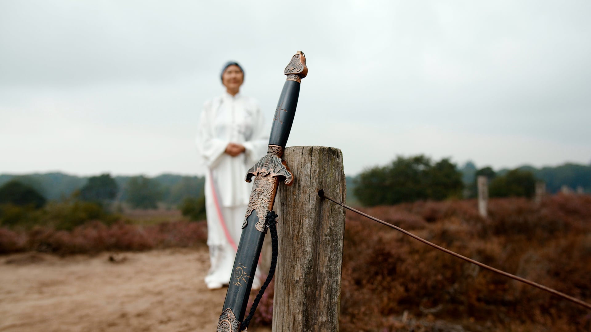 Tai Chi Chuan | Ontspanning van lichaam en geest on Vimeo