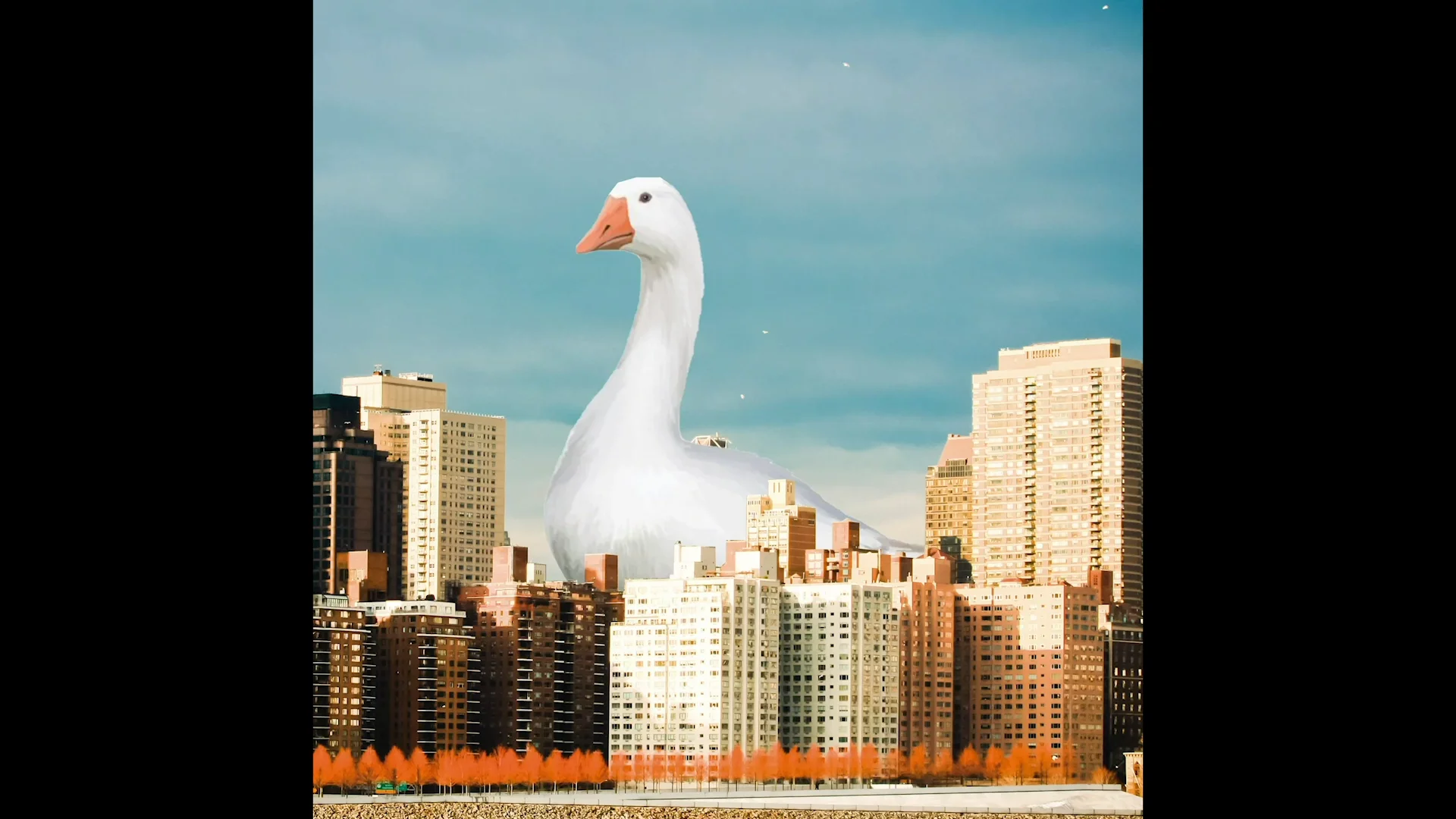 sad goose story on Vimeo