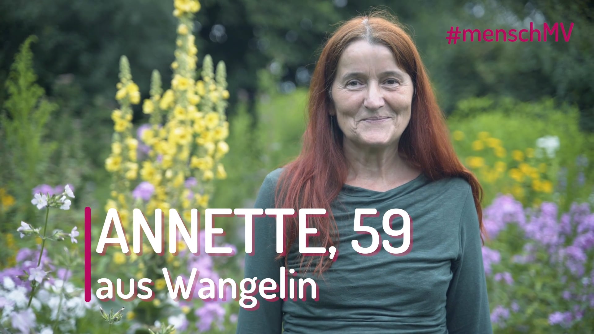 #menschMV. Demokratie im Dialog. 30 Jahre Mecklenburg-Vorpommern ...