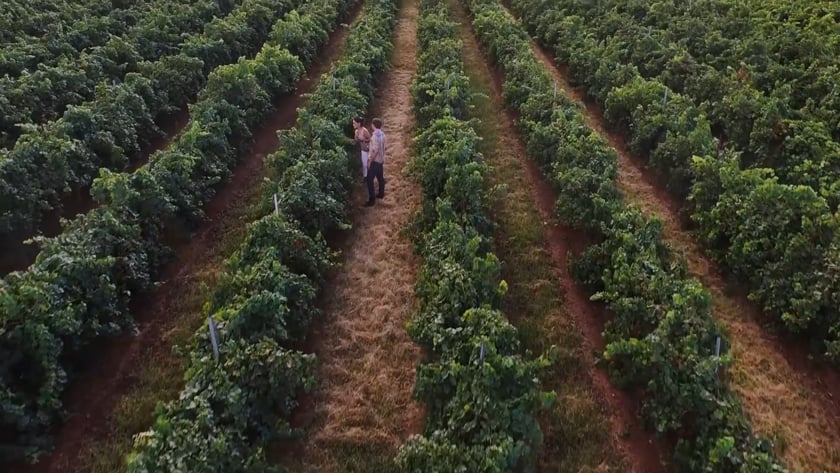 Home - Deming, New Mexico