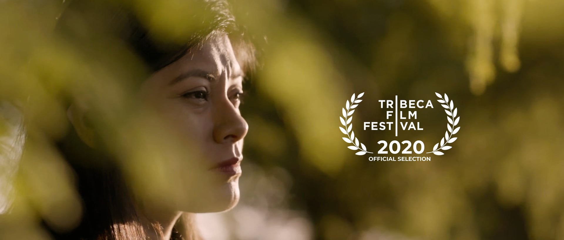 The Undocumented Lawyer - Official Trailer on Vimeo