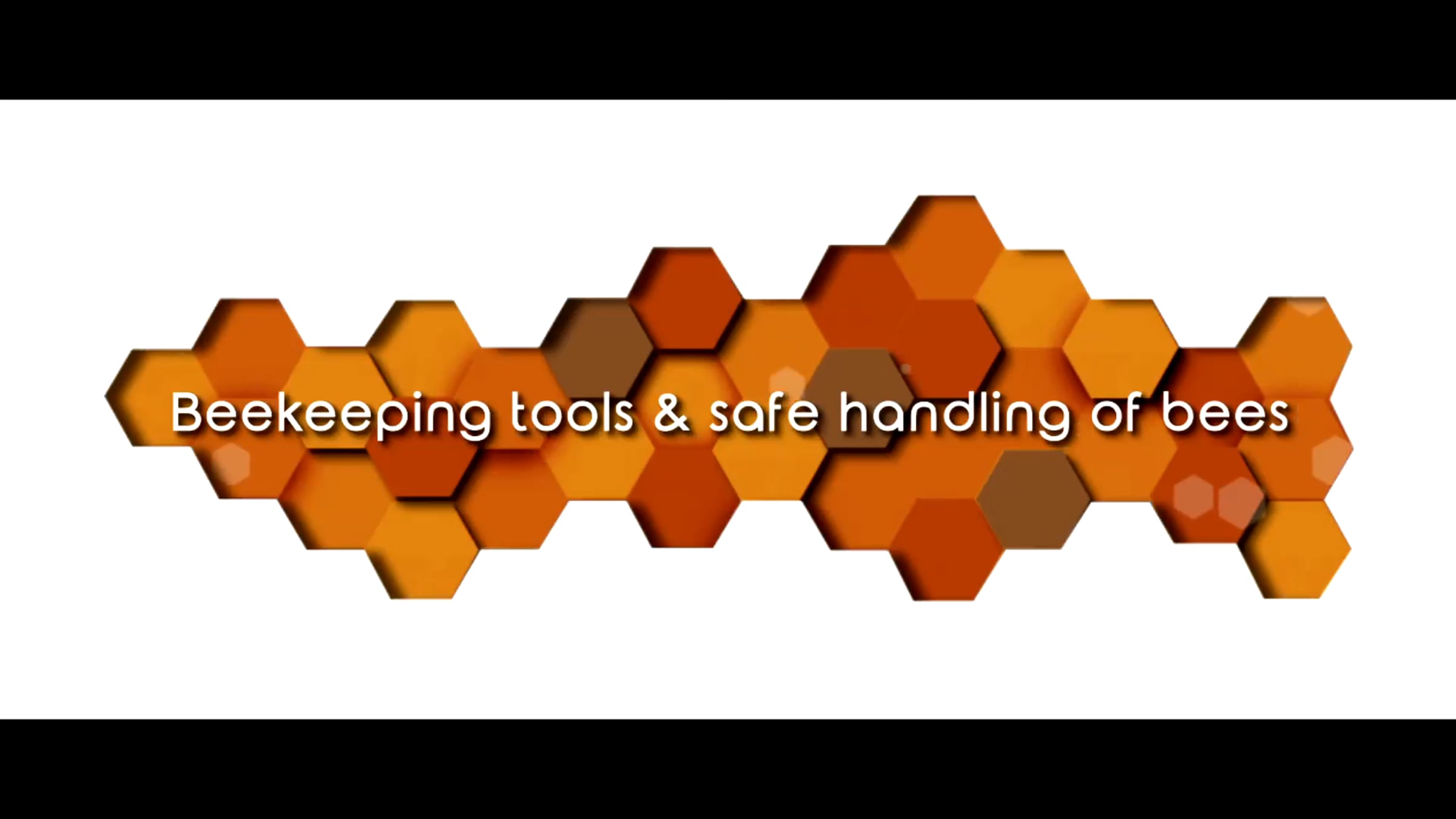 Beekeeping tools and safe handling of bees