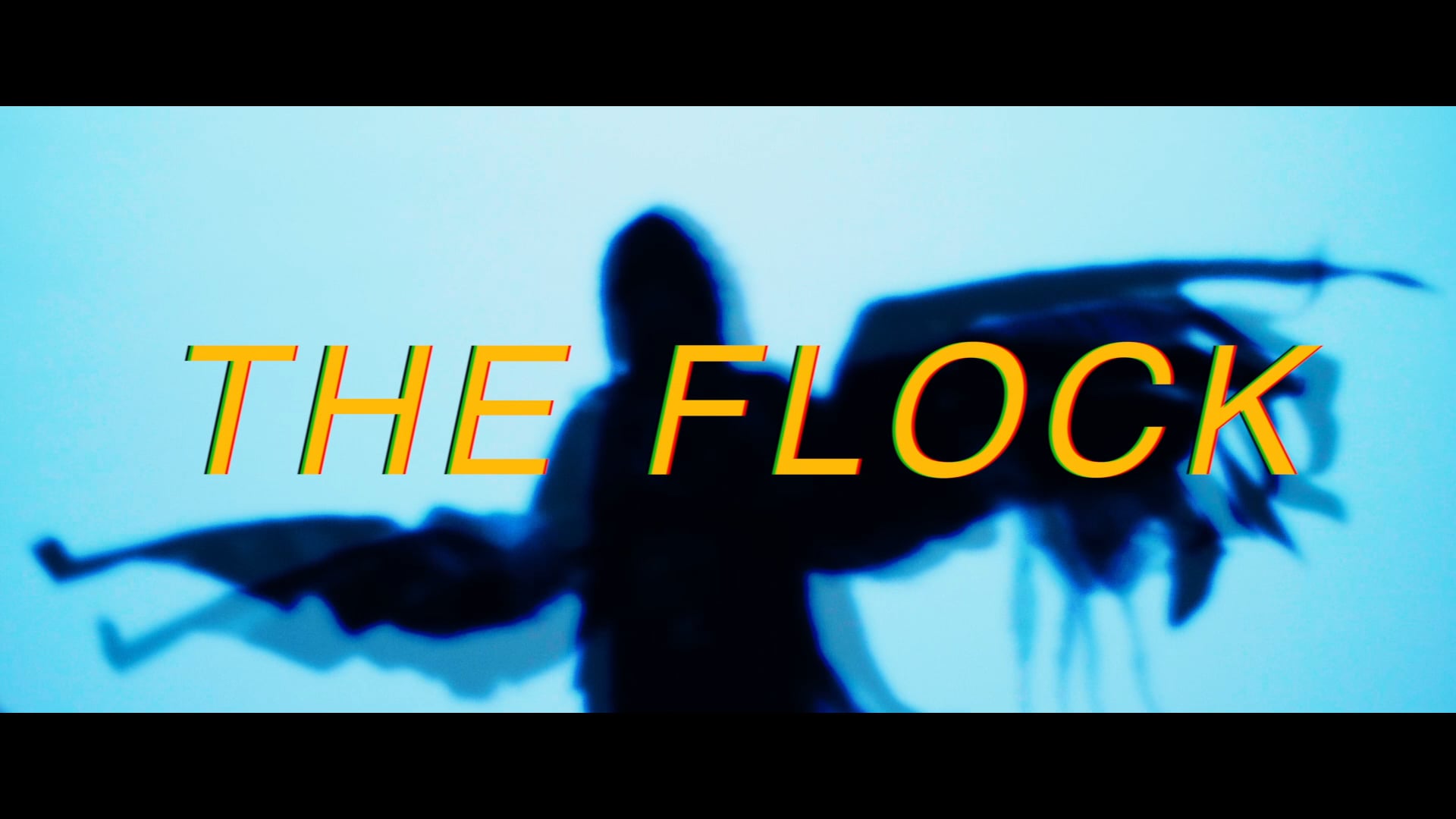 The Flock on Vimeo