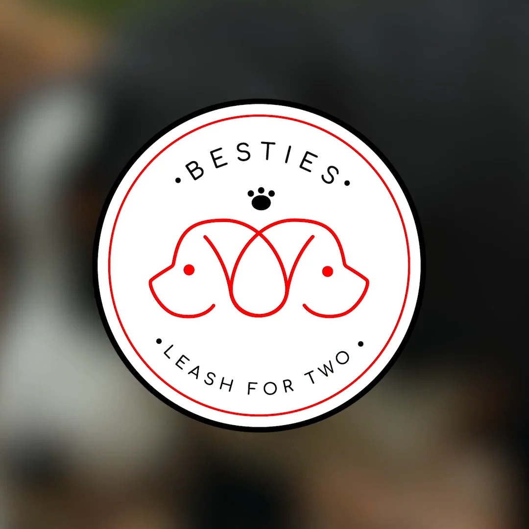 BESTIES V1 - BESTIES MAIN FINAL (1x1) on Vimeo