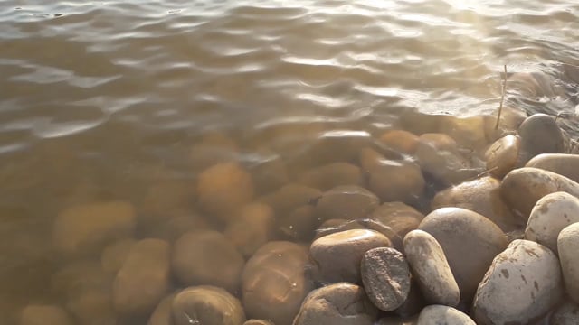 River Water Motion Waterflow - Free video on Pixabay