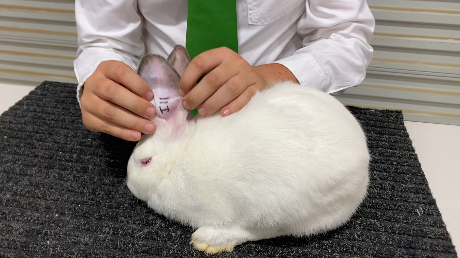 Cole Forster Single Fryer I11 UPDATED on Vimeo