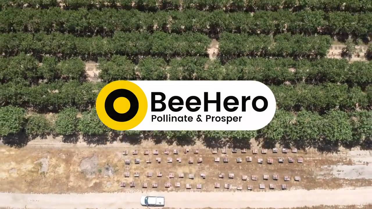 BeeHero Smart Hive Sensor Test - May 2020 on Vimeo