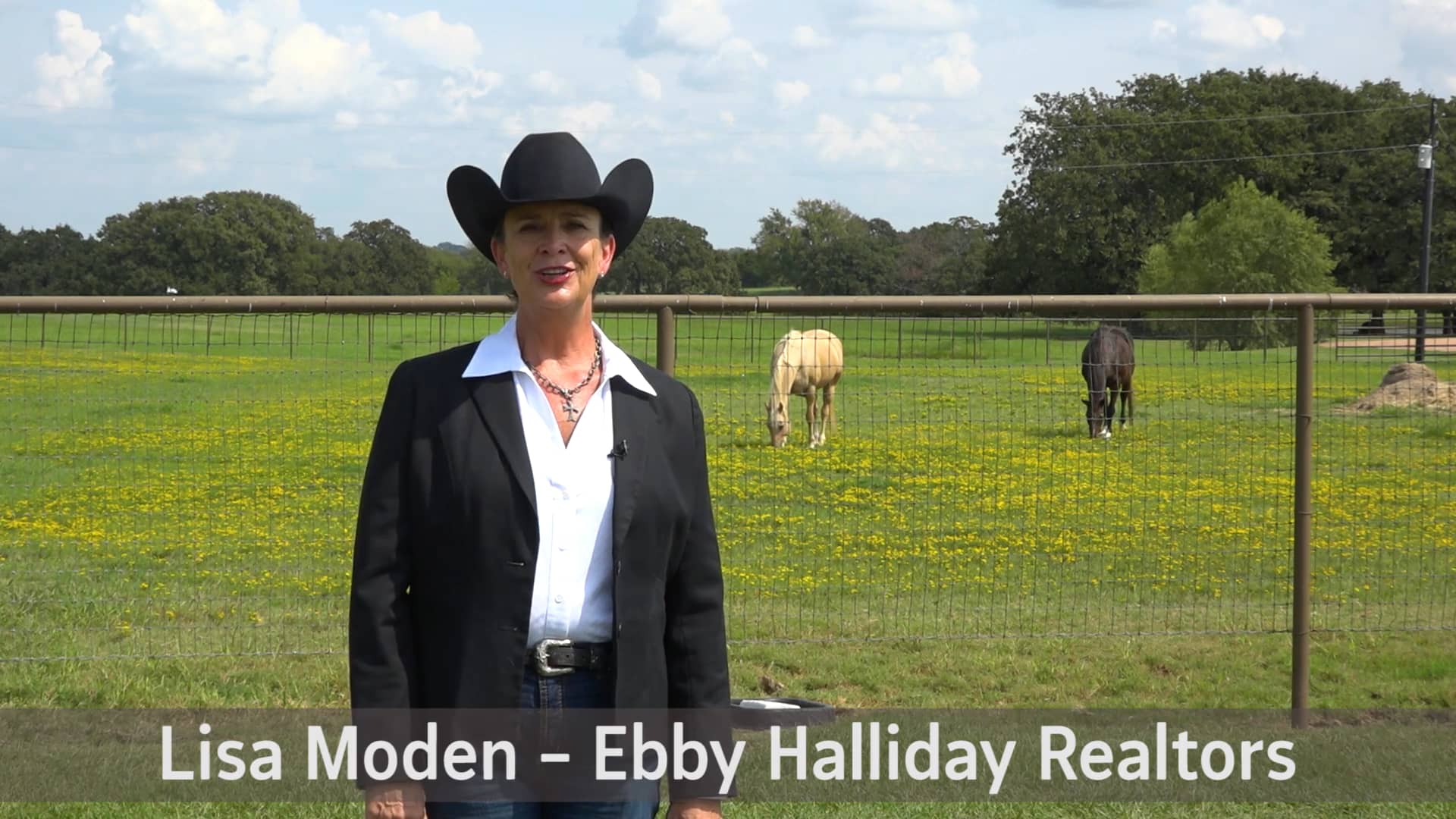 Lisa Moden Ebby Halliday Realtors on Vimeo